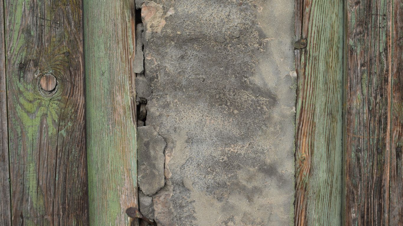 How long does it take termites to cause damage? | Evergreen Lawn & Pest ...