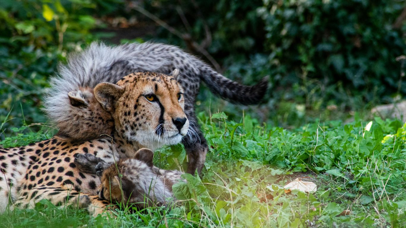 The Best Meme Photos of 2025: A Look Back at the Year's Funniest ...