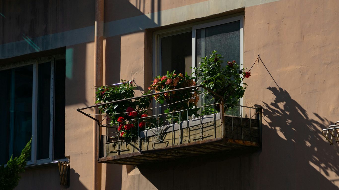 Container Gardening 101: What to Grow in Pots for Maximum Yield