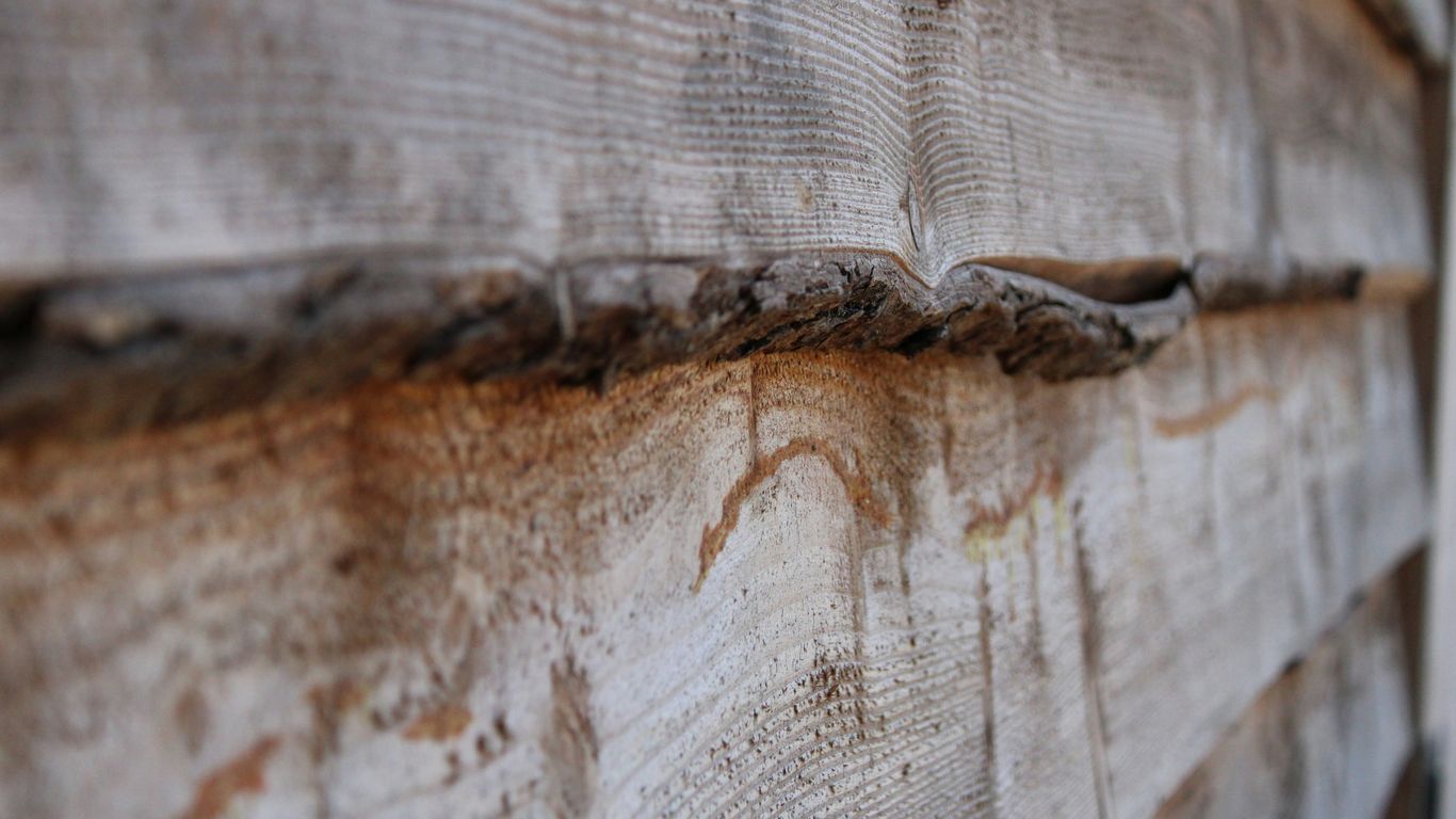How Can I Tell If My Home Has Termites Without Seeing Them?
